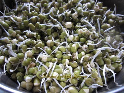 How to Sprout Beans Quickly Even In Canadian Winter – Bhavna's Food Journey