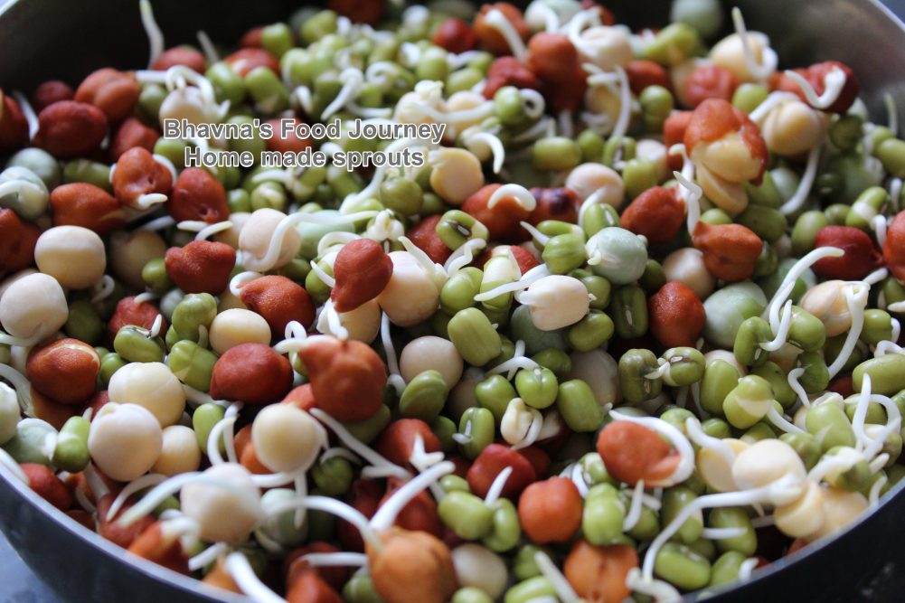 How to Sprout Beans Quickly Even In Canadian Winter – Bhavna's Food Journey