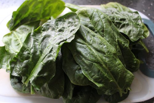 Palak Patra – Bhavna's Food Journey