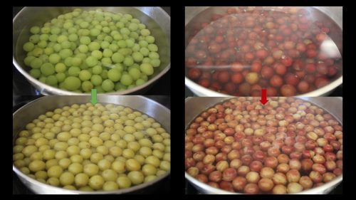 The Best Home-made Raisins – Bhavna's Food Journey