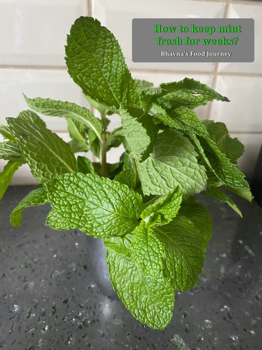 How to keep mint fresh for weeks? – Bhavna's Food Journey